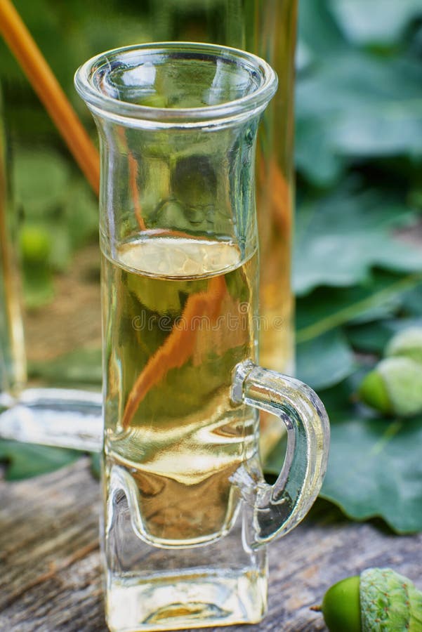 Oak tree alcohol stock photo. Image of liquid, group - 79119538