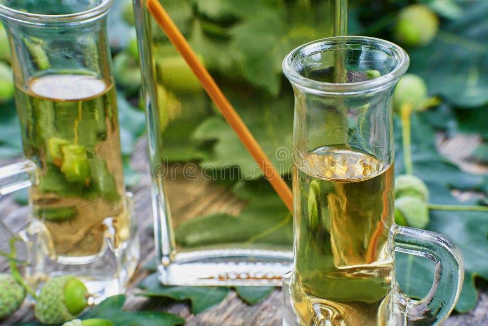 Oak tree alcohol stock image. Image of bark, foliage - 79119565