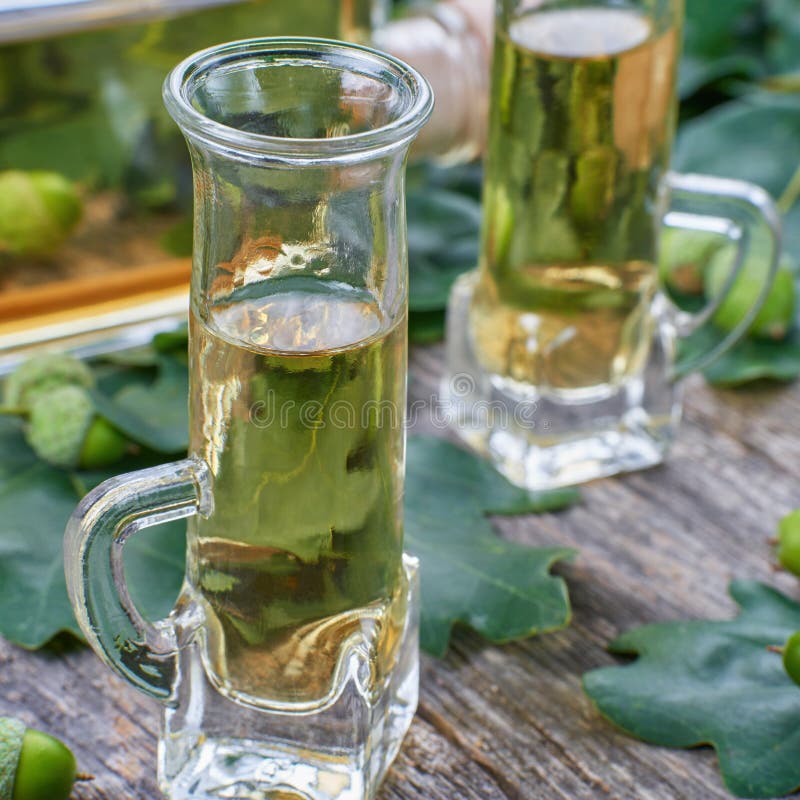 Oak tree alcohol stock photo. Image of forest, liquor - 79119886