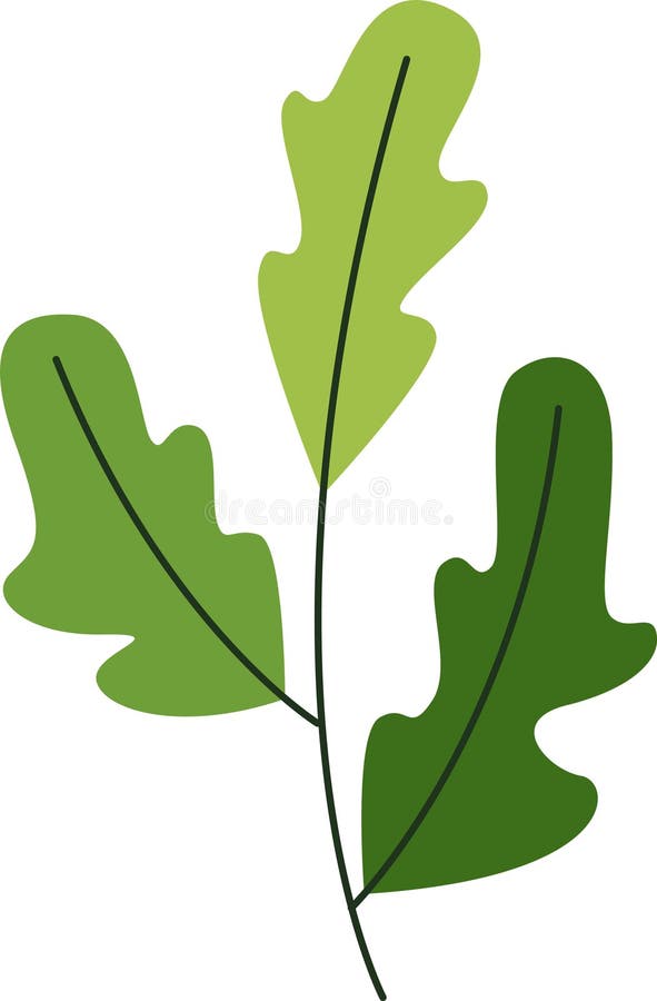 Oak Tree Branch stock vector. Illustration of spring - 299410668