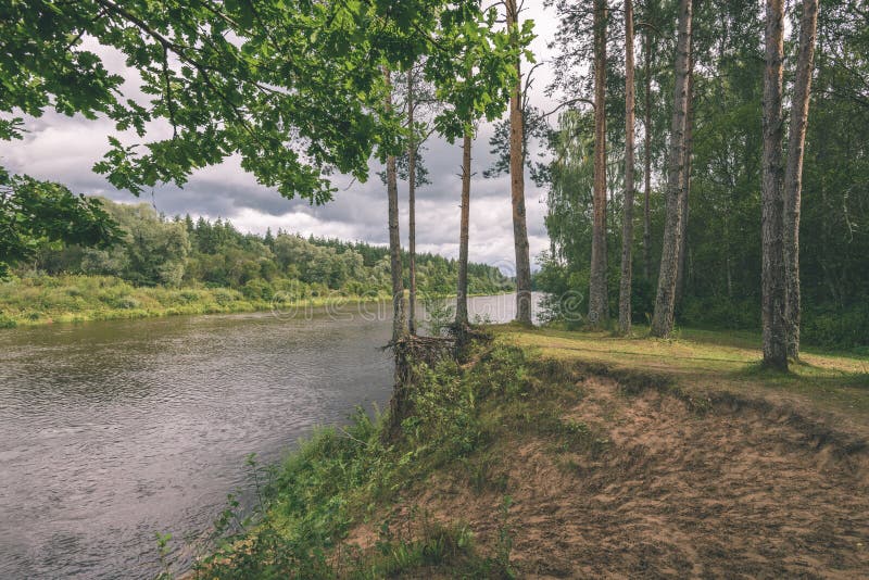 Oak Tree Branches Over Summer River - Vintage Effect Stock Photo ...
