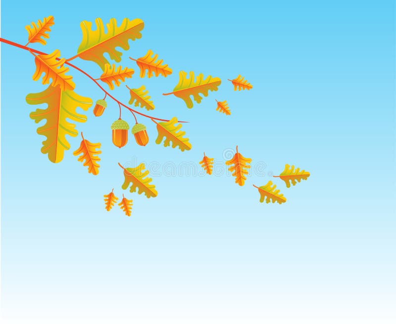 Oak tree brunch stock vector. Illustration of ornate - 57834855