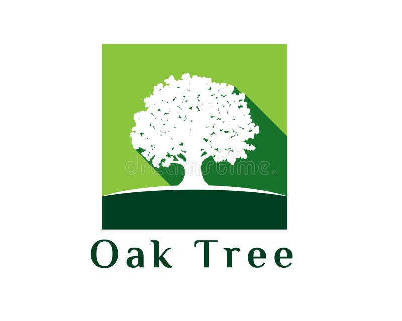 Oak Tree Company Logo Square Stock Vector - Illustration of flat, name ...