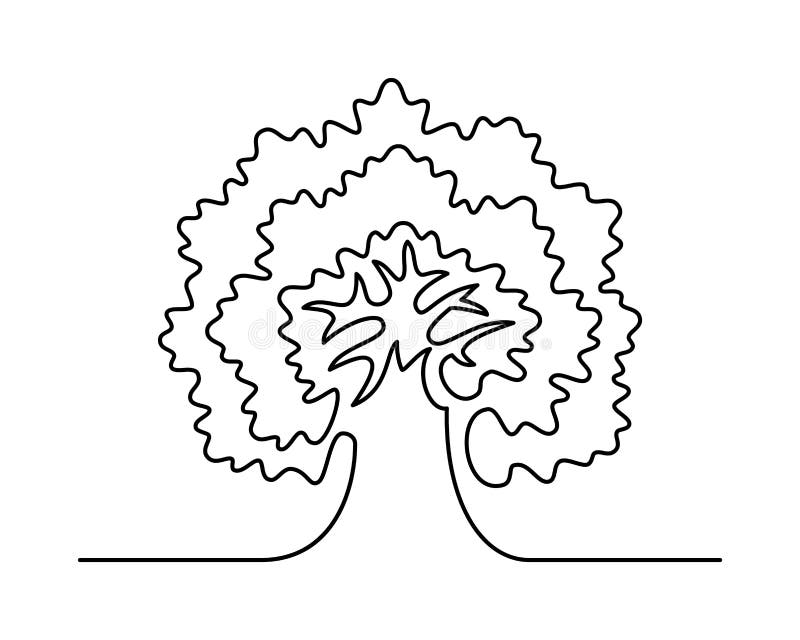 Oak Tree in Continuous Line Drawing Style. Vector Illustration Stock ...