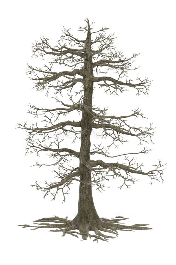 Dead tree stock illustration. Illustration of render - 11533192