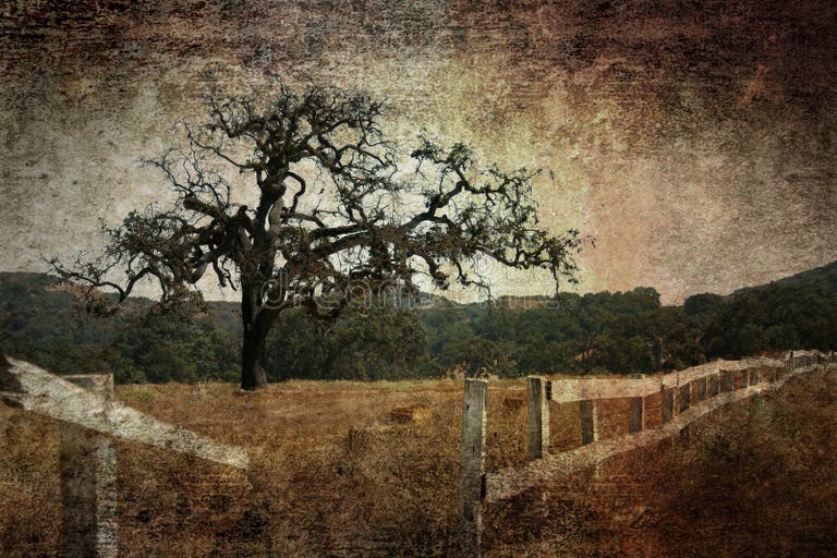 Oak Tree Border Stock Illustrations – 10,016 Oak Tree Border Stock ...