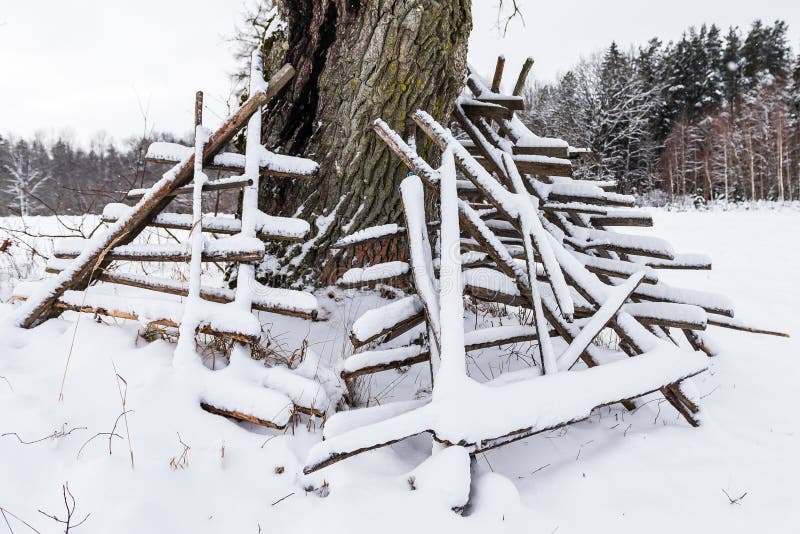 Oak Tree and Haystack Wooden Frames in Snowy Winter Day, Latvia Stock ...