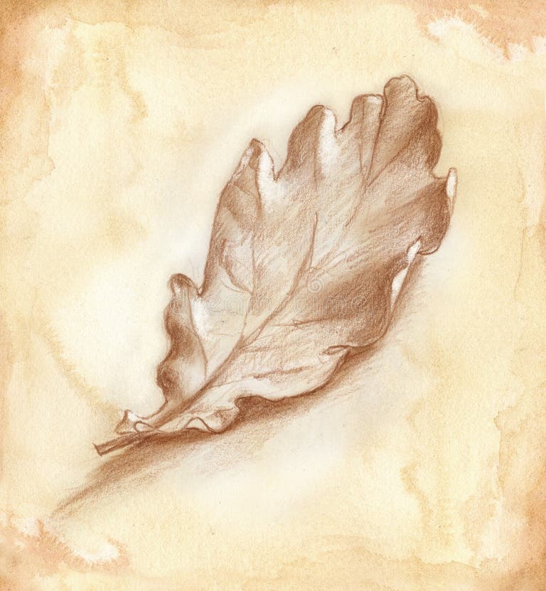 Pencil Drawing Dry Tree Stock Illustrations – 170 Pencil Drawing Dry ...