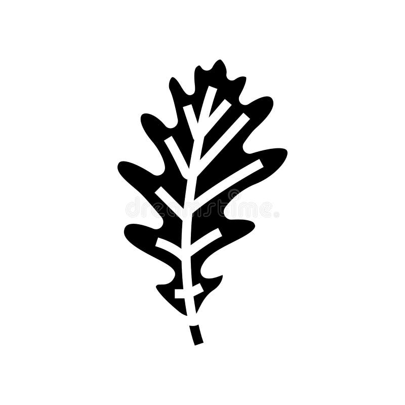 Oak Tree Leaf Glyph Icon Vector Illustration Stock Vector ...