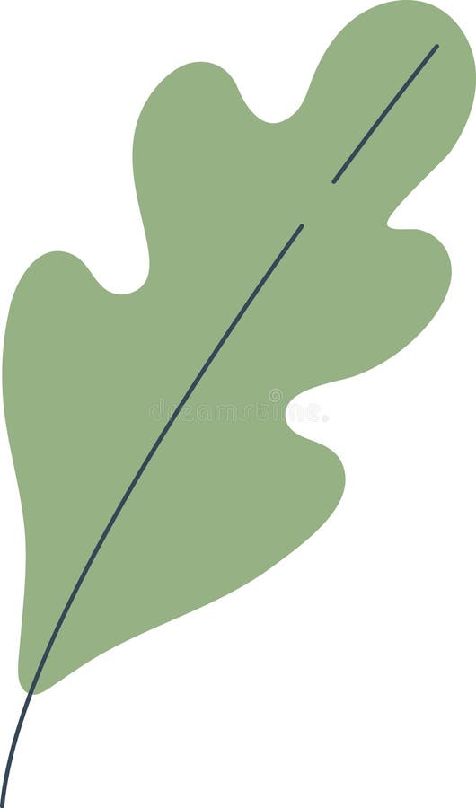 Oak Tree Leaf stock vector. Illustration of natural - 312405163