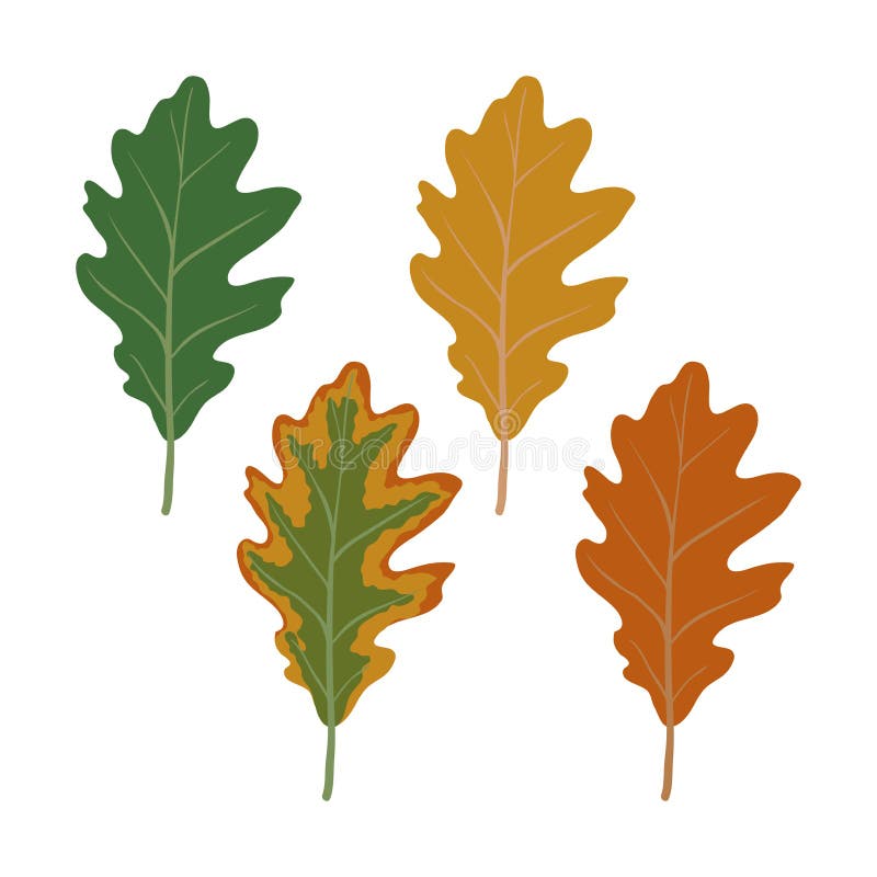 Oak tree leaves clip art stock vector. Illustration of yellow - 232183776