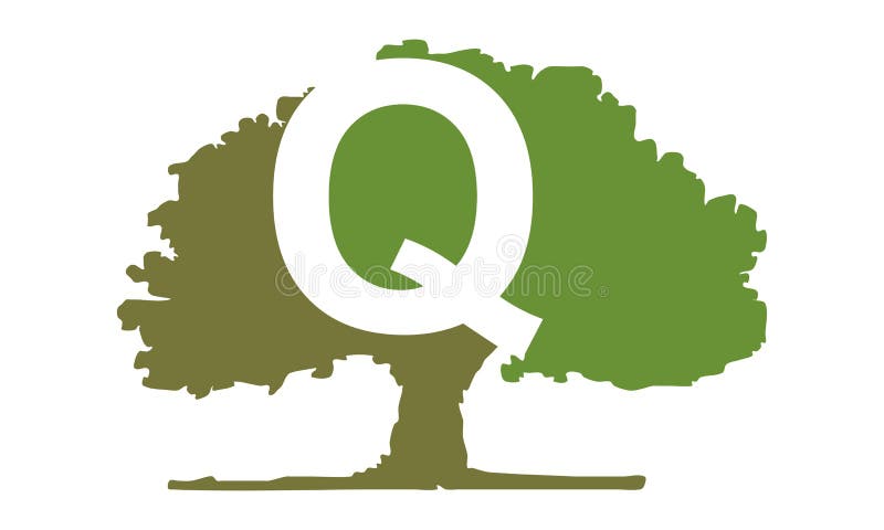 Oak Tree Letter Q stock vector. Illustration of leaf - 104224846