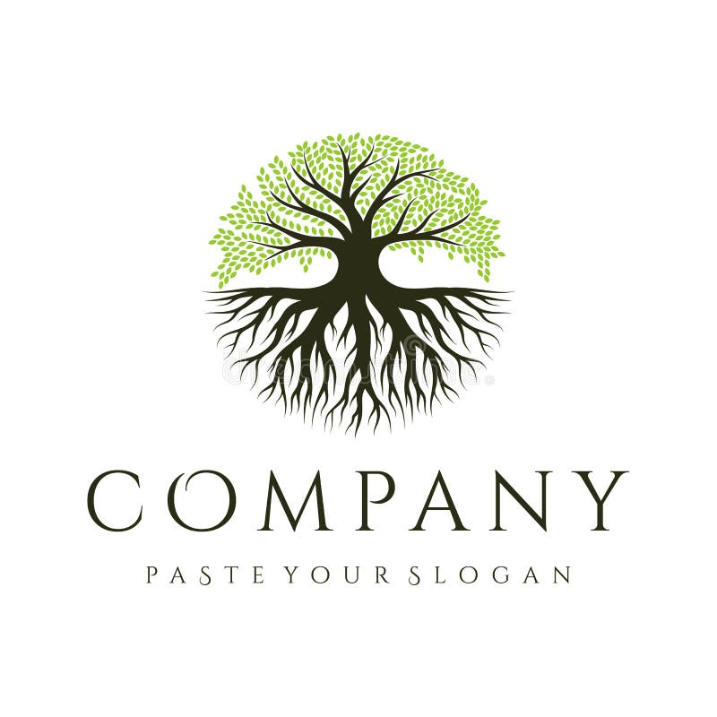 Oak Tree Logo Design, Tree and Root Vector. Tree of Life Logo Design ...