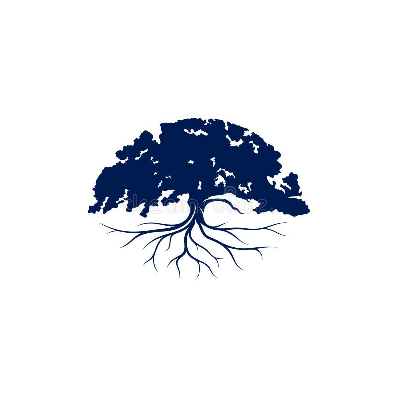 Oak Tree Logo Design Vector Illustration, Creative Oak Tree Logo Design ...