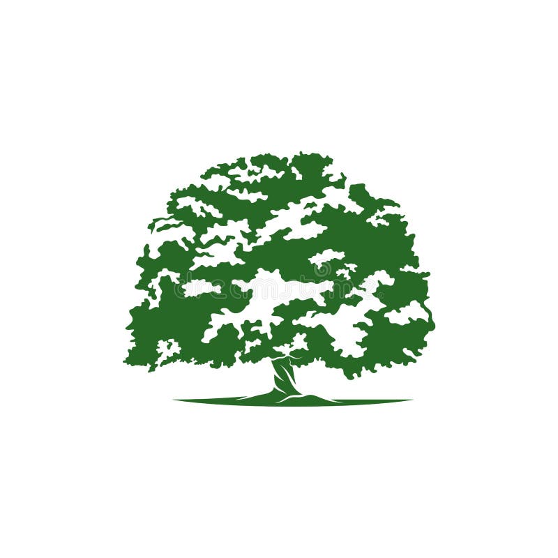 Oak Tree Logo Design Vector Illustration, Creative Oak Tree Logo Design ...