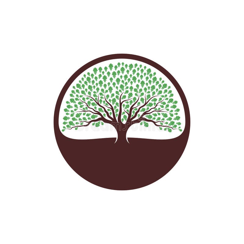 Oak Tree Logo Design Vector Illustration, Creative Oak Tree Logo Design ...