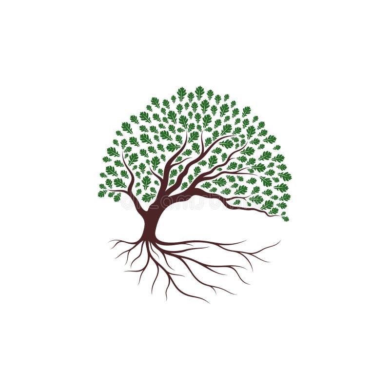 Oak Tree Logo Design Vector Illustration, Creative Oak Tree Logo Design ...