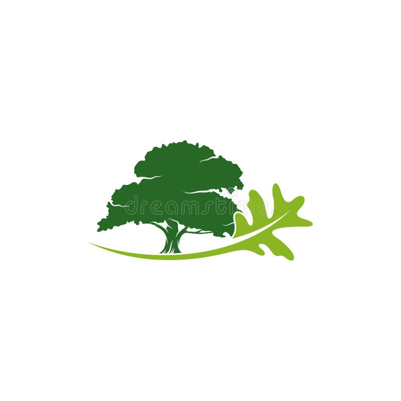 Oak Tree Logo Design Vector Illustration, Creative Oak Tree Logo Design ...