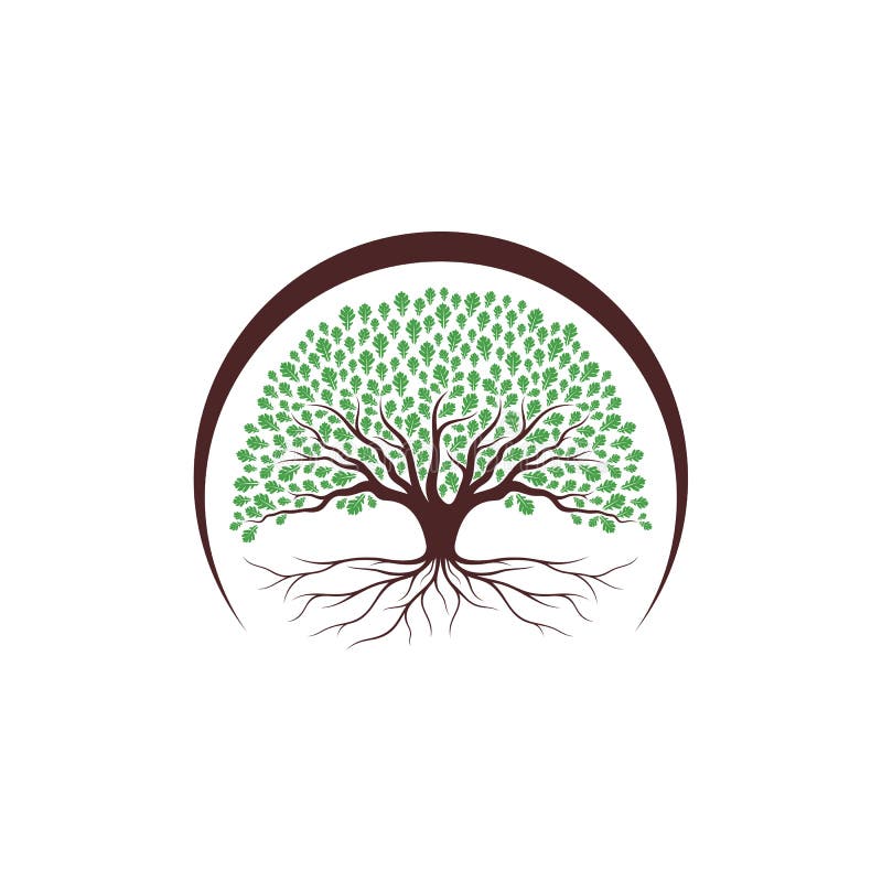Oak Tree Logo Design Vector Illustration, Creative Oak Tree Logo Design ...