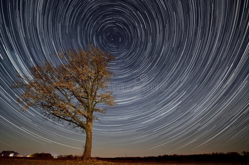 An Oak Tree in the Middle of a Field on a Full Moon Night. Star Trails ...