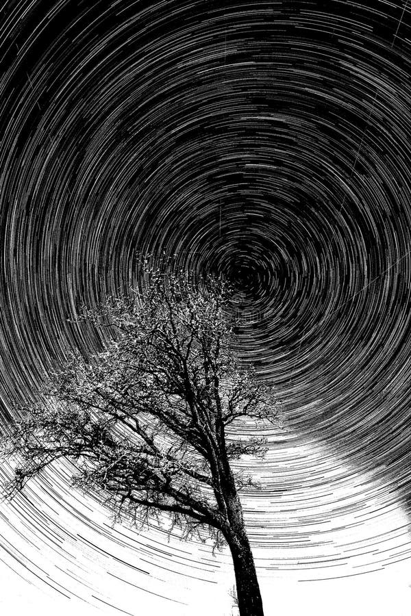 Threshold Star Stock Photos - Free & Royalty-Free Stock Photos from ...