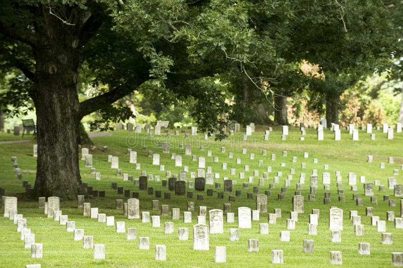 Oak Tree in a Military Cemetery Stock Image - Image of military, graves ...
