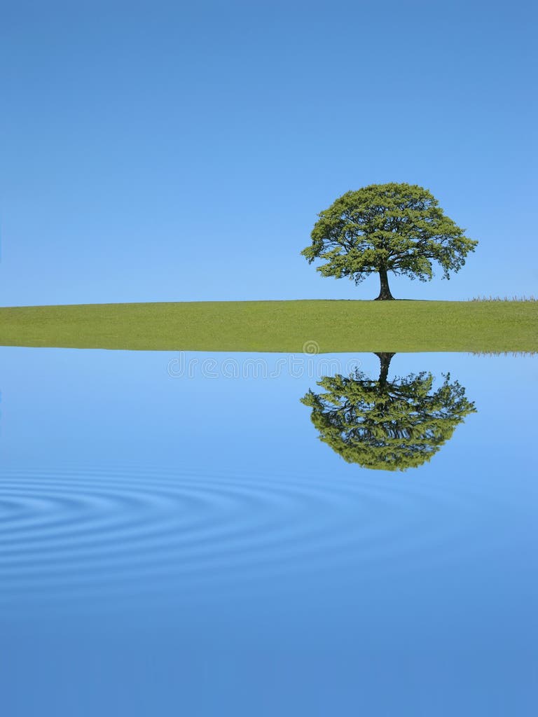 796,770 Tree Reflection Water Stock Photos - Free & Royalty-Free Stock ...