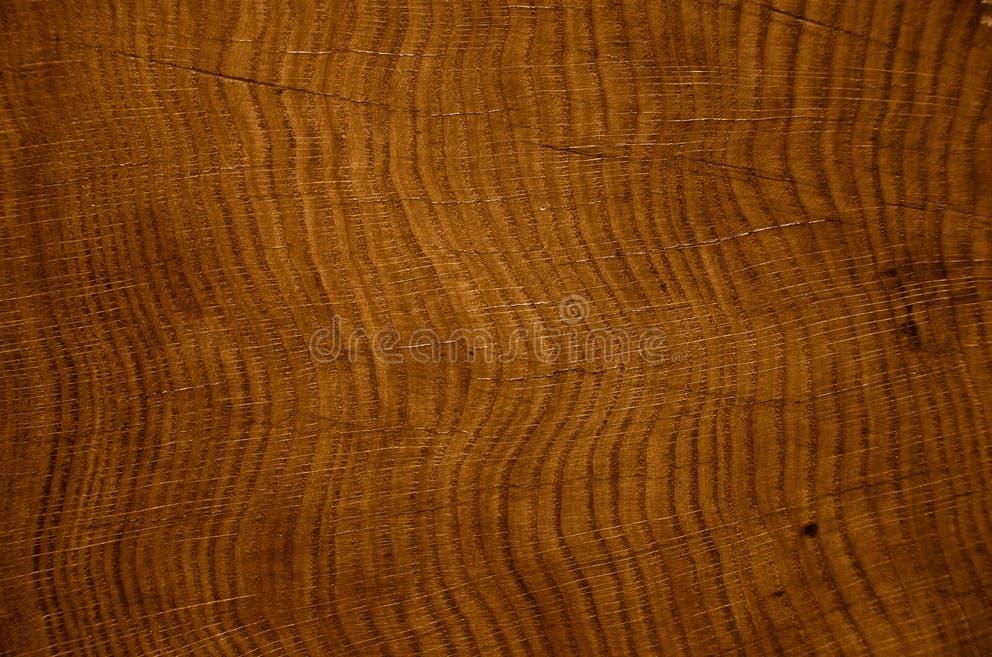 Oak tree rings background stock photo. Image of glow - 45145696