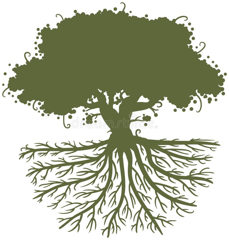 33+ Oak tree roots Free Stock Photos - StockFreeImages 33+ Oak tree roots Free Stock Photos - StockFreeImages
