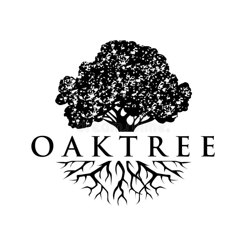 Oak tree roots logo stock vector. Illustration of vector - 258345287