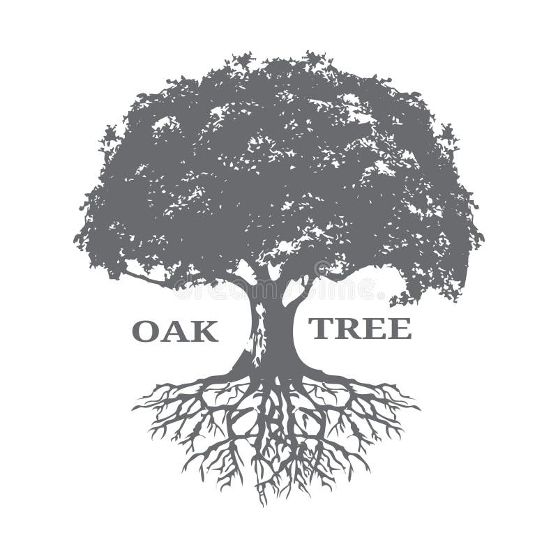 Oak Tree Silhouette with Roots Spreading Underground. Suitable for ...