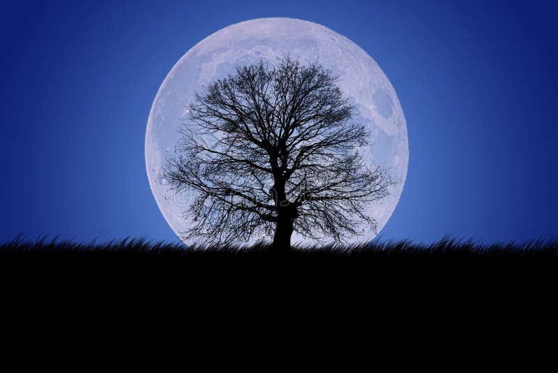 Oak Tree Moon Stock Illustrations – 330 Oak Tree Moon Stock ...