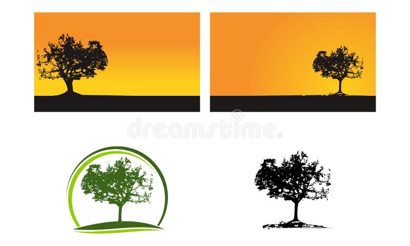 Oak Tree Template Set stock vector. Illustration of conservation ...