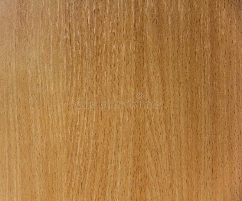 Oak tree texture stock image. Image of design, grain - 94302115