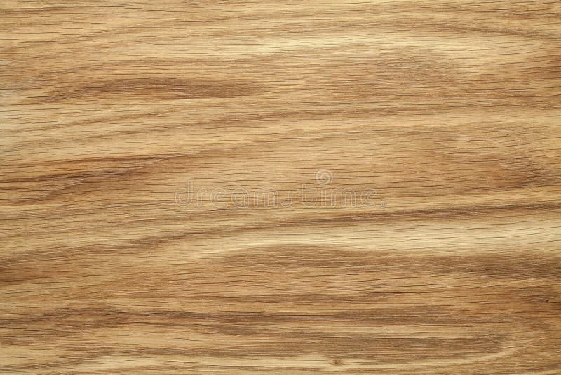 Oak tree texture stock image. Image of backdrop, panel - 65505981