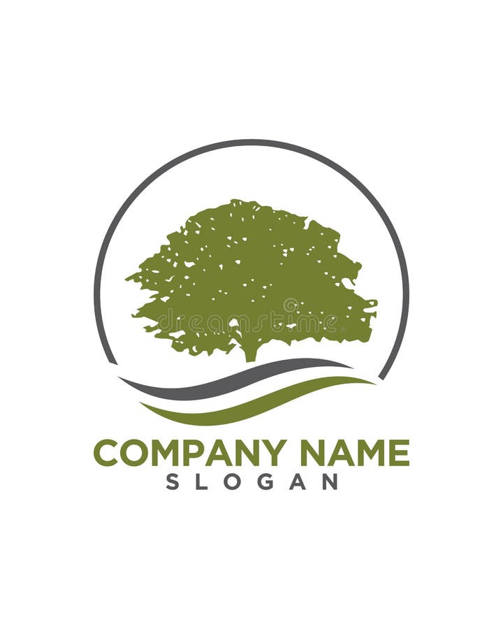 Oak Tree Vector Financial Business Insurance Abstract Stock ...