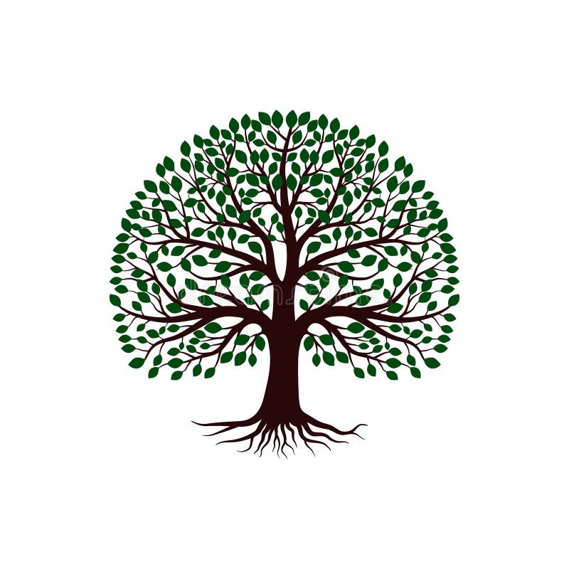 Oak Tree Vector with Green Leaves, Oak Tree Logo Stock Vector ...