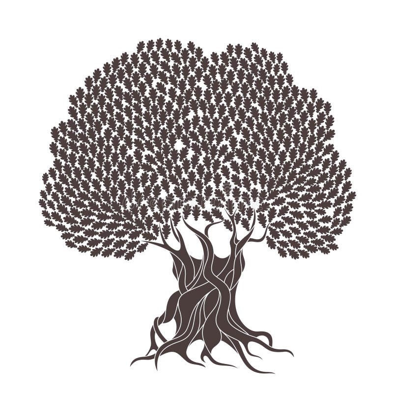 Oak tree stock vector. Illustration of tree, landscape - 55773135