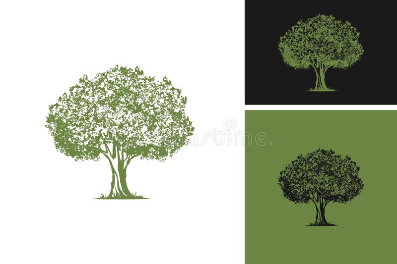 Oak Tree Vector Template, Green Tree Stock Vector - Illustration of ...
