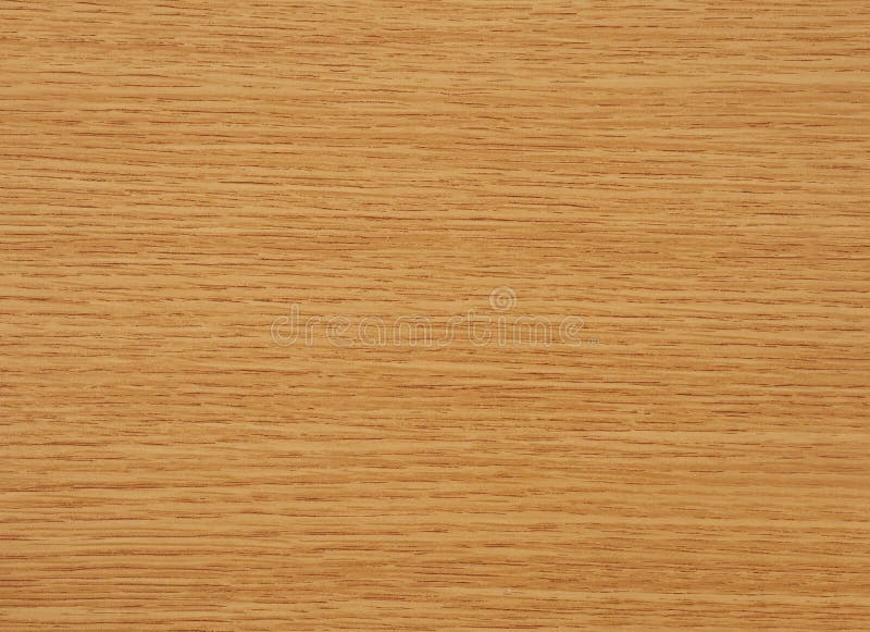 Oak tree wood stock image. Image of design, wallpaper - 7180695