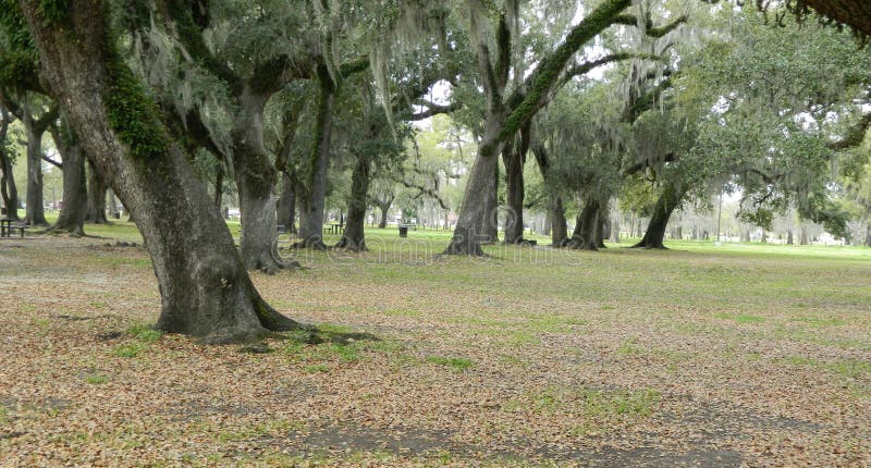 39,370 Beautiful Park Setting Stock Photos - Free & Royalty-Free Stock ...