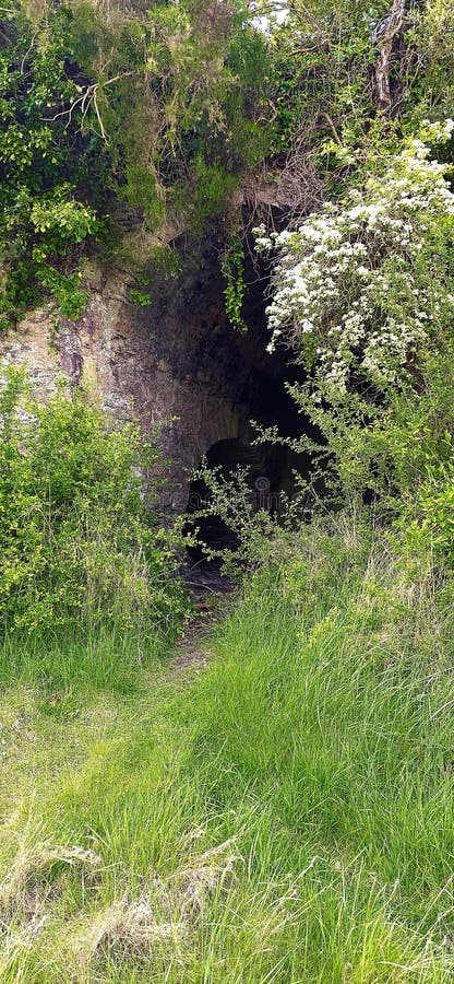 Blaxton Creek, River Tavy, Devon Stock Image - Image of fortification ...