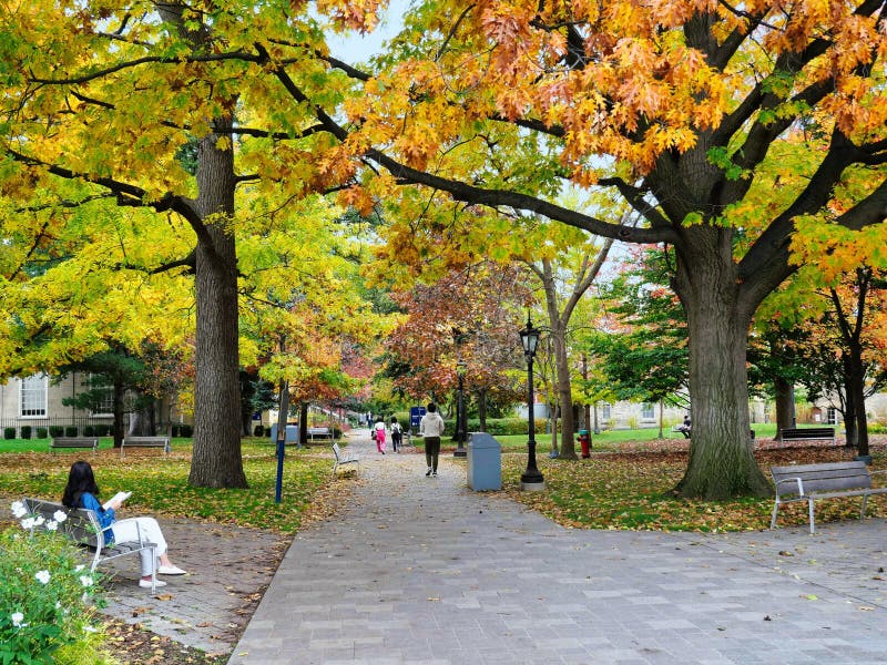 Oak Trees Changing Color in Fall Stock Image - Image of changing, bench ...