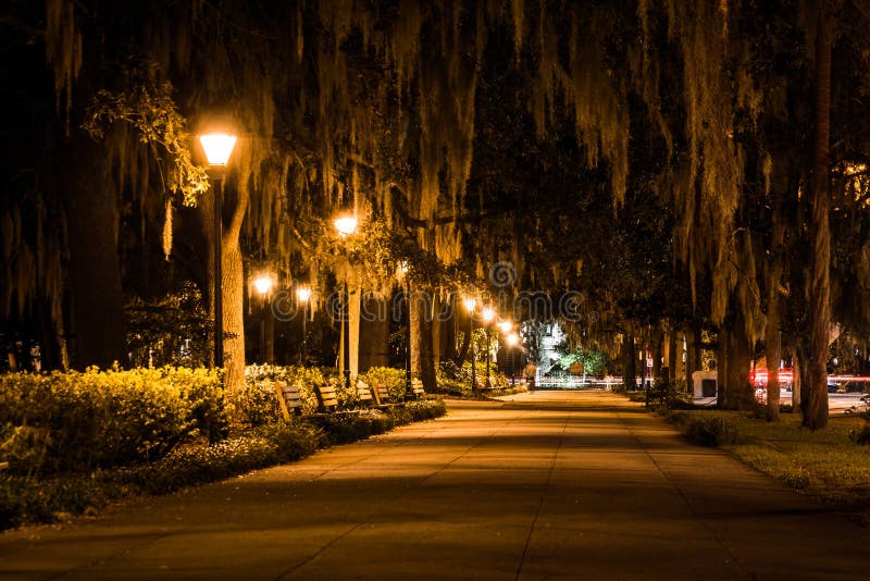 Oak Trees and Path at Night in Forsyth Park, Savannah, Georgia. Stock ...