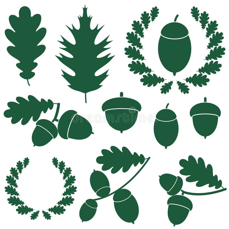 Oak stock vector. Illustration of unusual, wreath, banner - 50789955