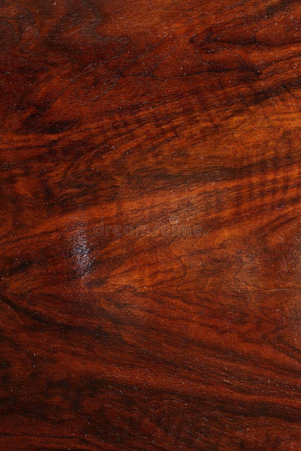 Oak veneer texture stock image. Image of panel, parquet - 49643829