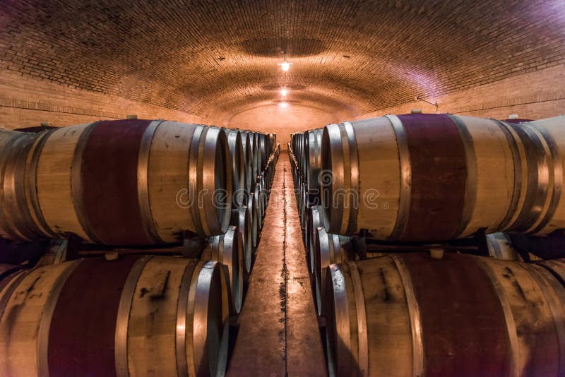 Oak Wine Barrels for Wine Fermentation at a Winery. Stock Image - Image ...
