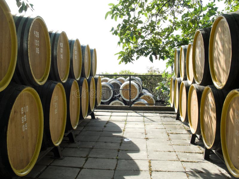 Oak wine casks stock photo. Image of vintage, storage - 13450660