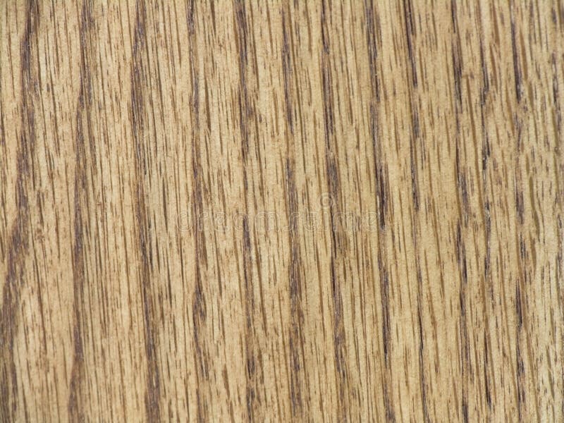 Oak wood stock photo. Image of woodworking, bare, nature - 5368334