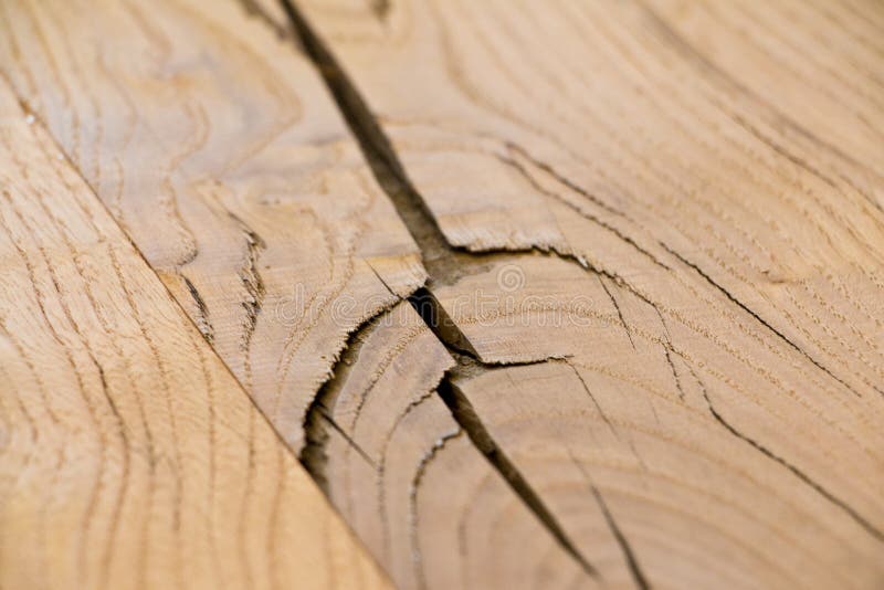 Oak wood stock image. Image of nature, retro, wooden - 98147613